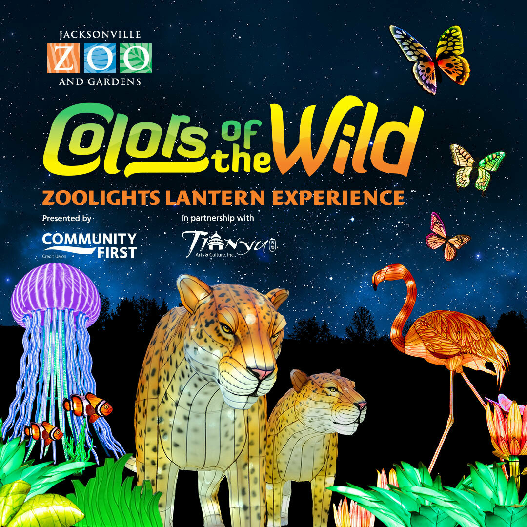 Colors of the Wild – a Zoolights Lantern Experience | Jacksonville Zoo ...