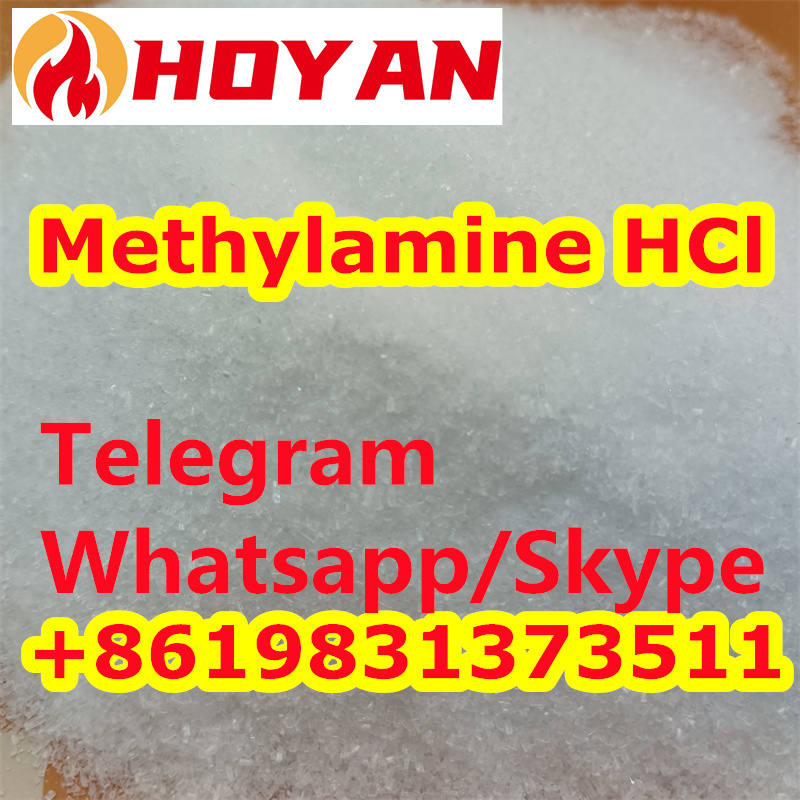 CAS 593-51-1 Methylamine Hydrochloride Drug Methylamine HCl Uses | San ...