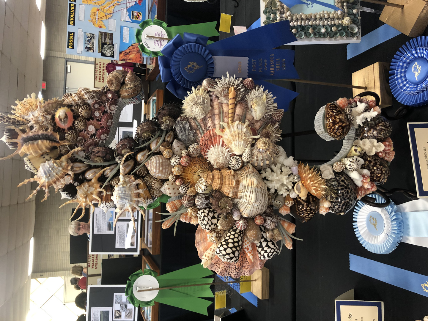 2024 Sarasota Shell Show | Robarts Arena | UpcomingEvents.com