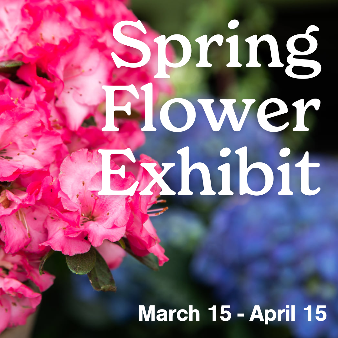 Spring Flower Exhibit | Buffalo and Erie County Botanical Gardens ...