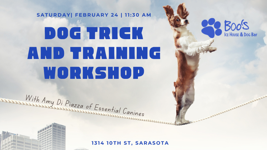 Dog Trick & Training Workshop w/ Essential Canines (FREE) | Boos Ice ...