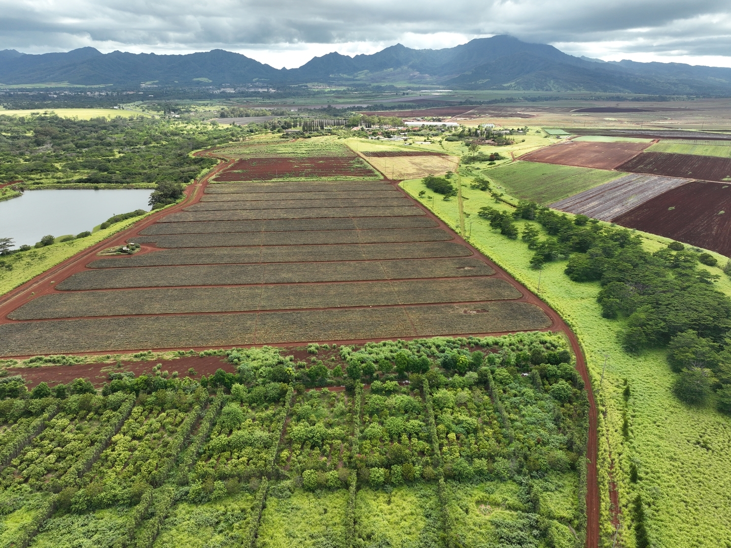 Ohana Farm Parcels Lottery Lot Selection Event | 64-1550 Kamehameha Hwy ...