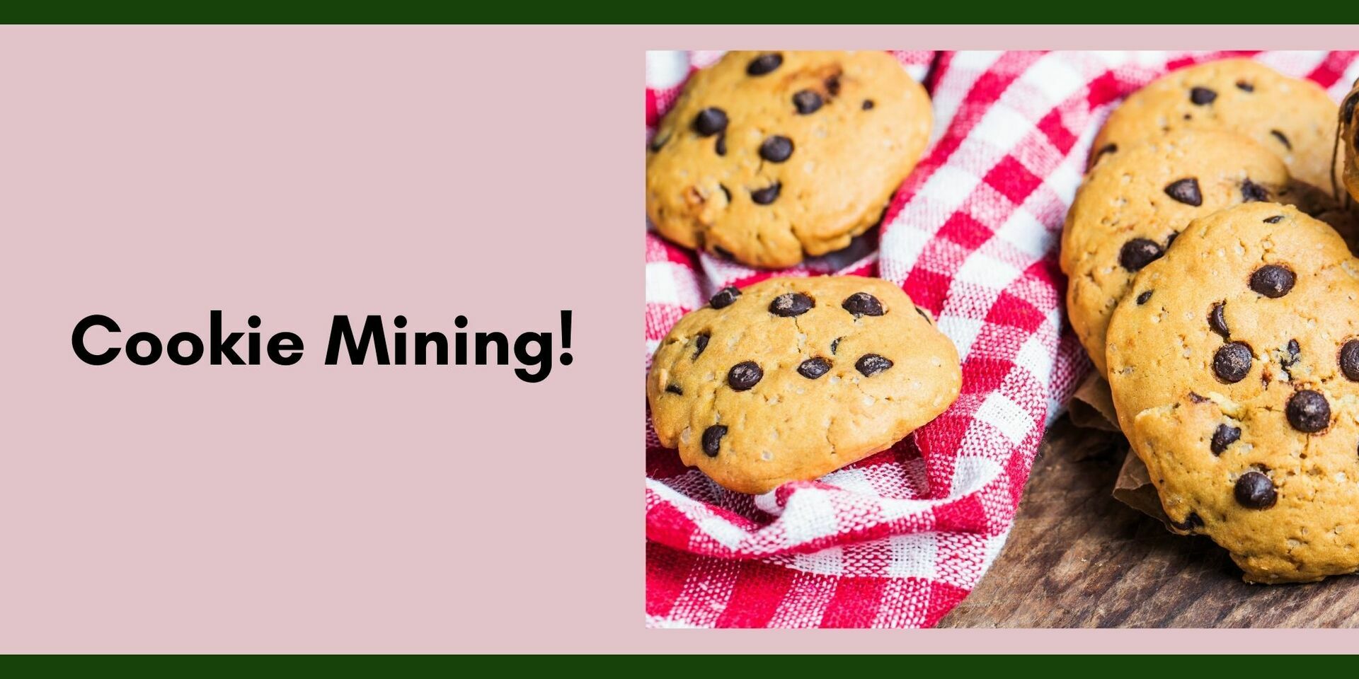 Cookie Mining | 3093 Purchase St | UpcomingEvents.com