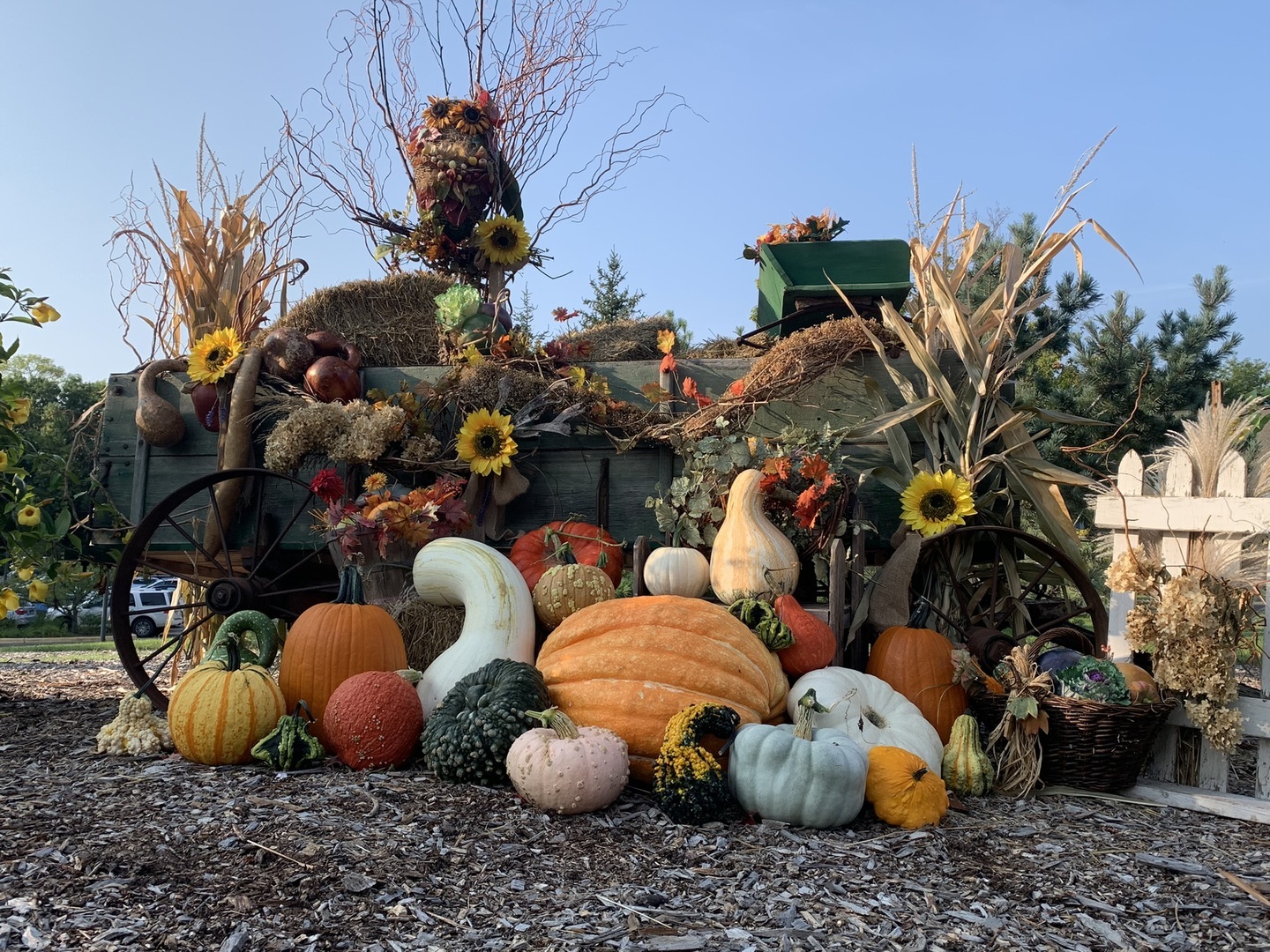 Scarecrows in the Garden | Minnesota Landscape Arboretum ...