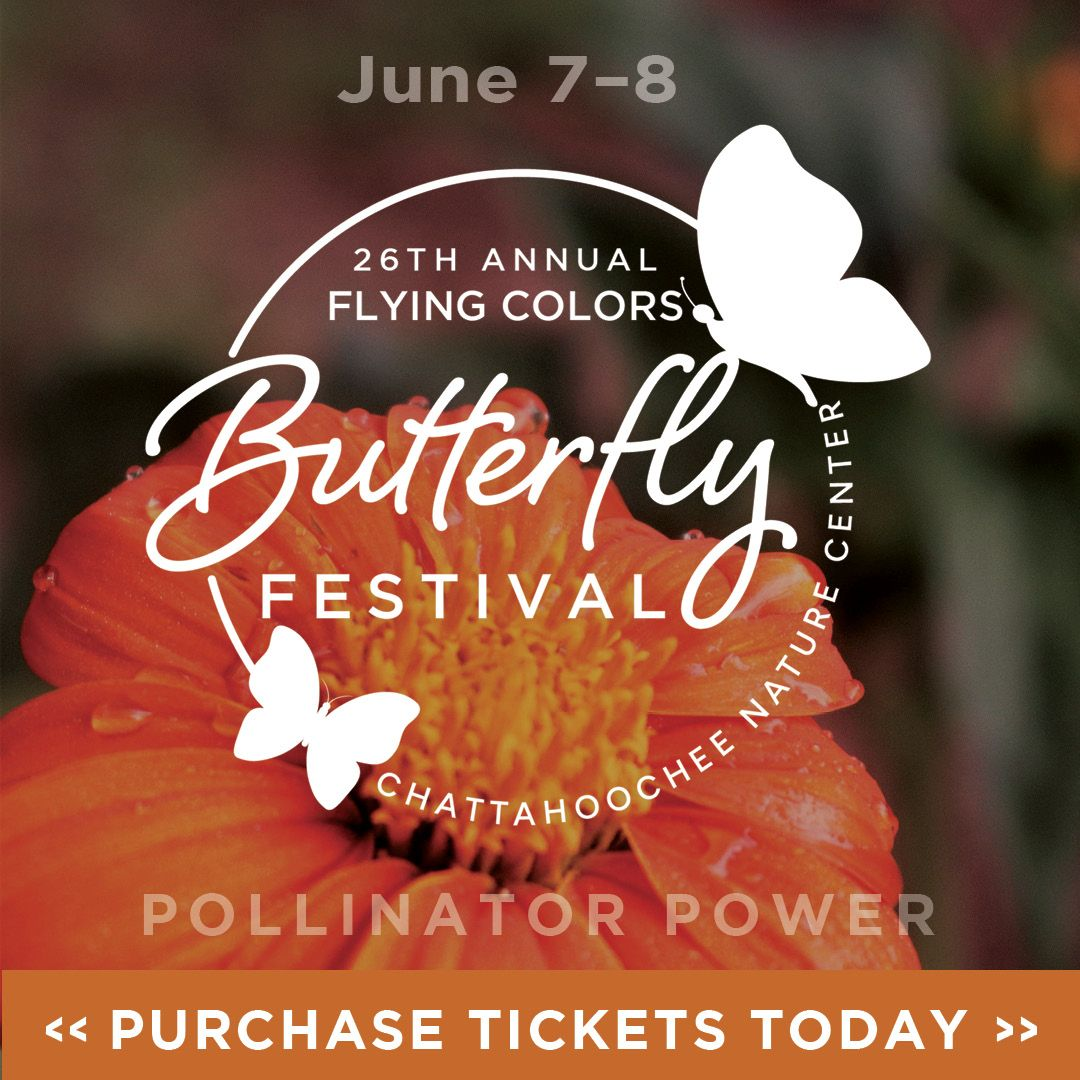 26th Annual Flying Colors Butterfly Festival | Chattahoochee Nature ...