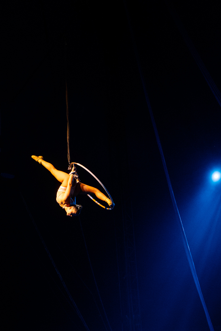 Do Portugal Circus, St.Louis June 2025 | South County Center ...