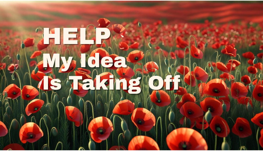 HELP - My Idea Is Taking Off | St. Louis | UpcomingEvents.com