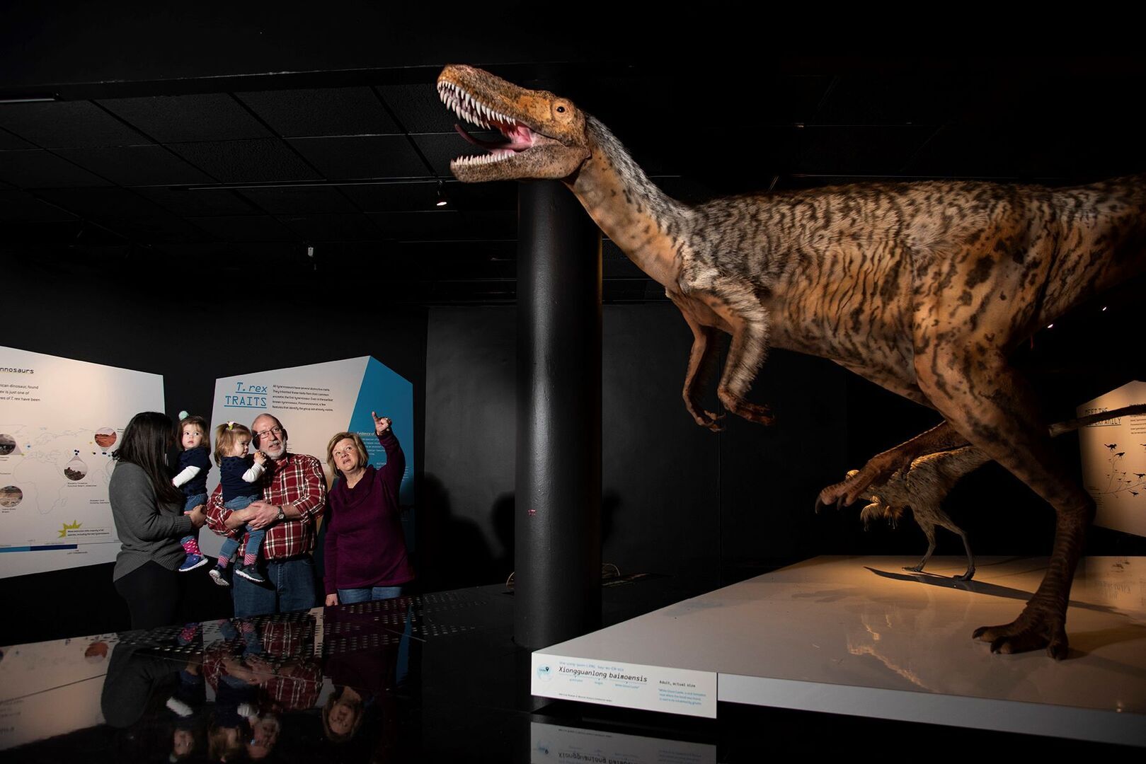 T. rex: The Ultimate Predator Exhibition | Bullock Texas State History ...