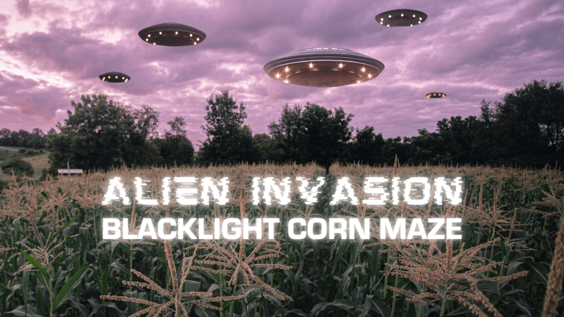 Alien Invasion Blacklight Corn Maze at Wilson's Orchard & Farm | Wilson ...