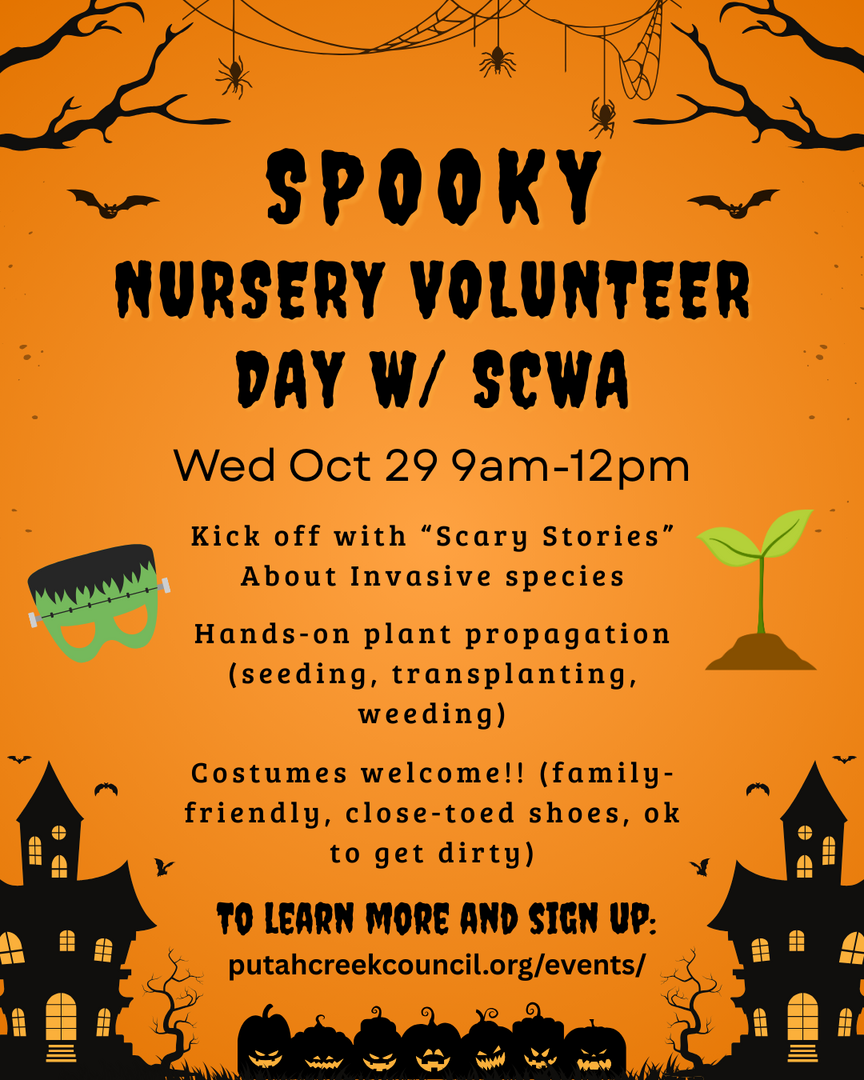SPOOKY! Native Plant Nursery Workday | For Full Location Information ...