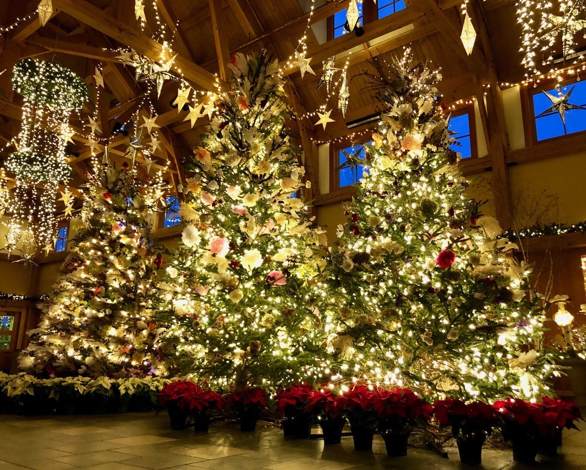 Winter Lights - Opening Night! | Minnesota Landscape Arboretum ...