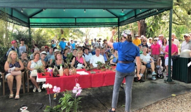 Introduction to Bromeliads: A Garden Talk | Edison & Ford Winter ...