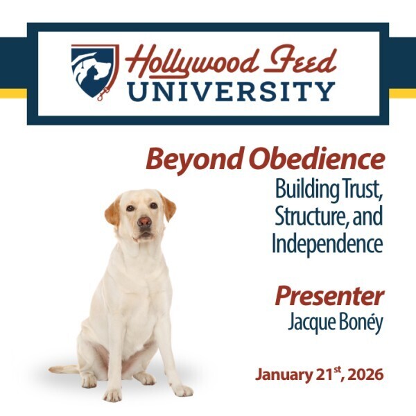 Hollywood Feed University Presents “Beyond Obedience: Building Trust ...