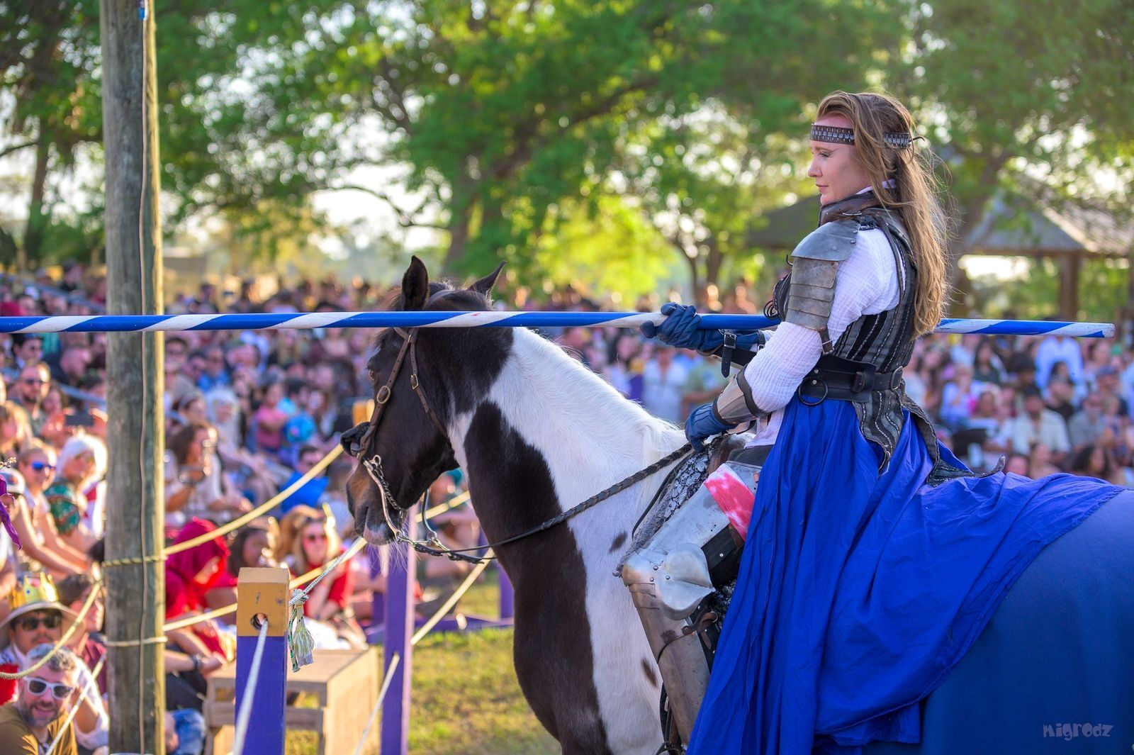 34th Annual Florida Renaissance Festival (eight themed weekends Feb. 7 ...