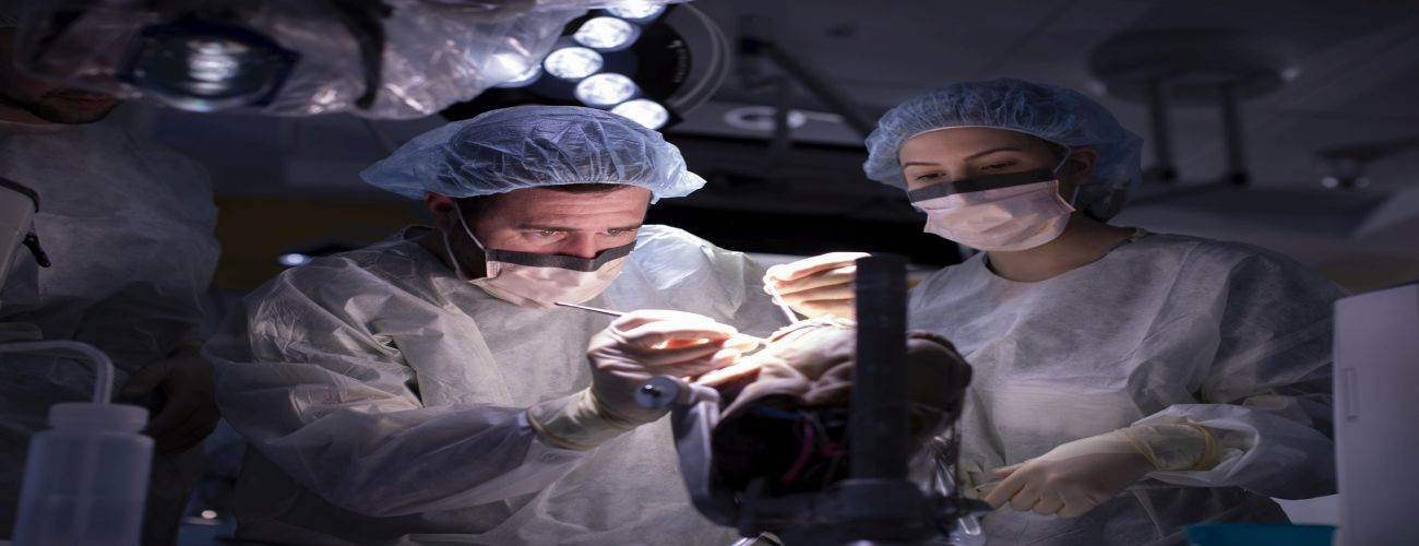 Rhoton-de Oliveira: Microsurgical and Endoscopic Approaches for Skull ...