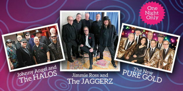 Jimmie Ross & the JAGGERZ, Johnny Angel & the Halos, the NEW Pure Gold ...